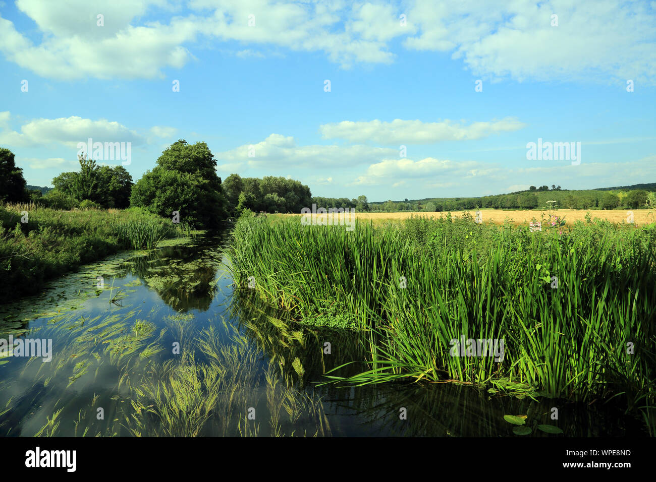 The great stour way hi-res stock photography and images - Alamy