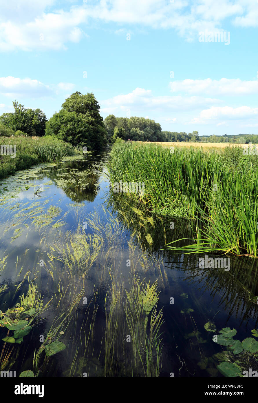 The River Stour to the east of Wye, Kent, England, United Kingdom Stock ...