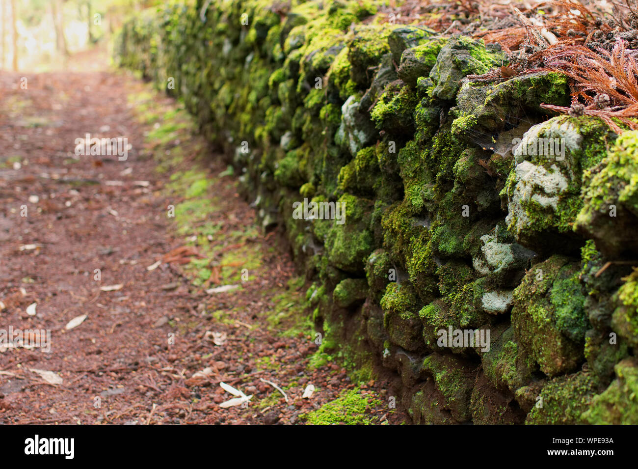 Azores building stone hi-res stock photography and images - Alamy