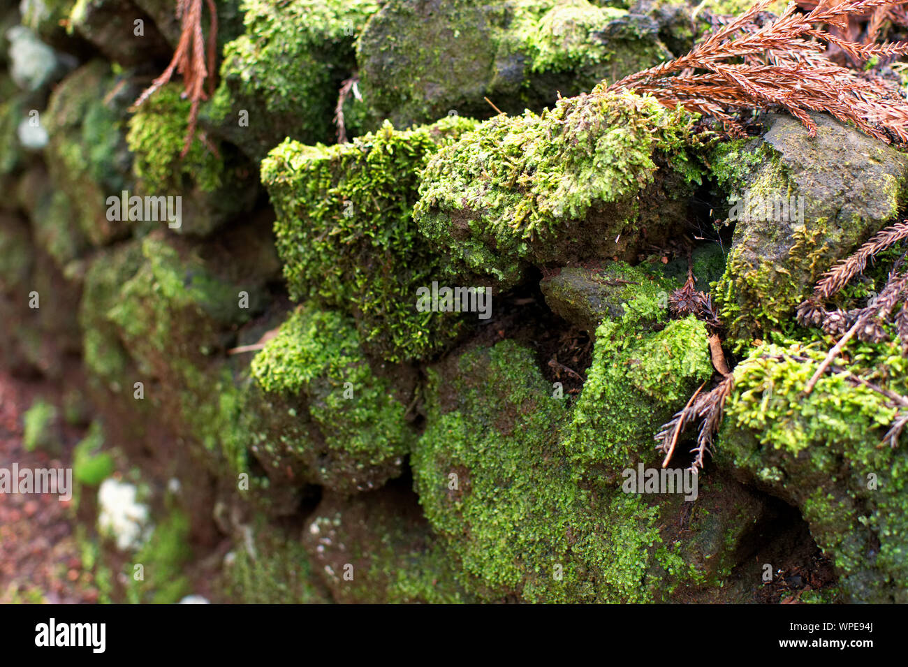 Azores building stone hi-res stock photography and images - Alamy