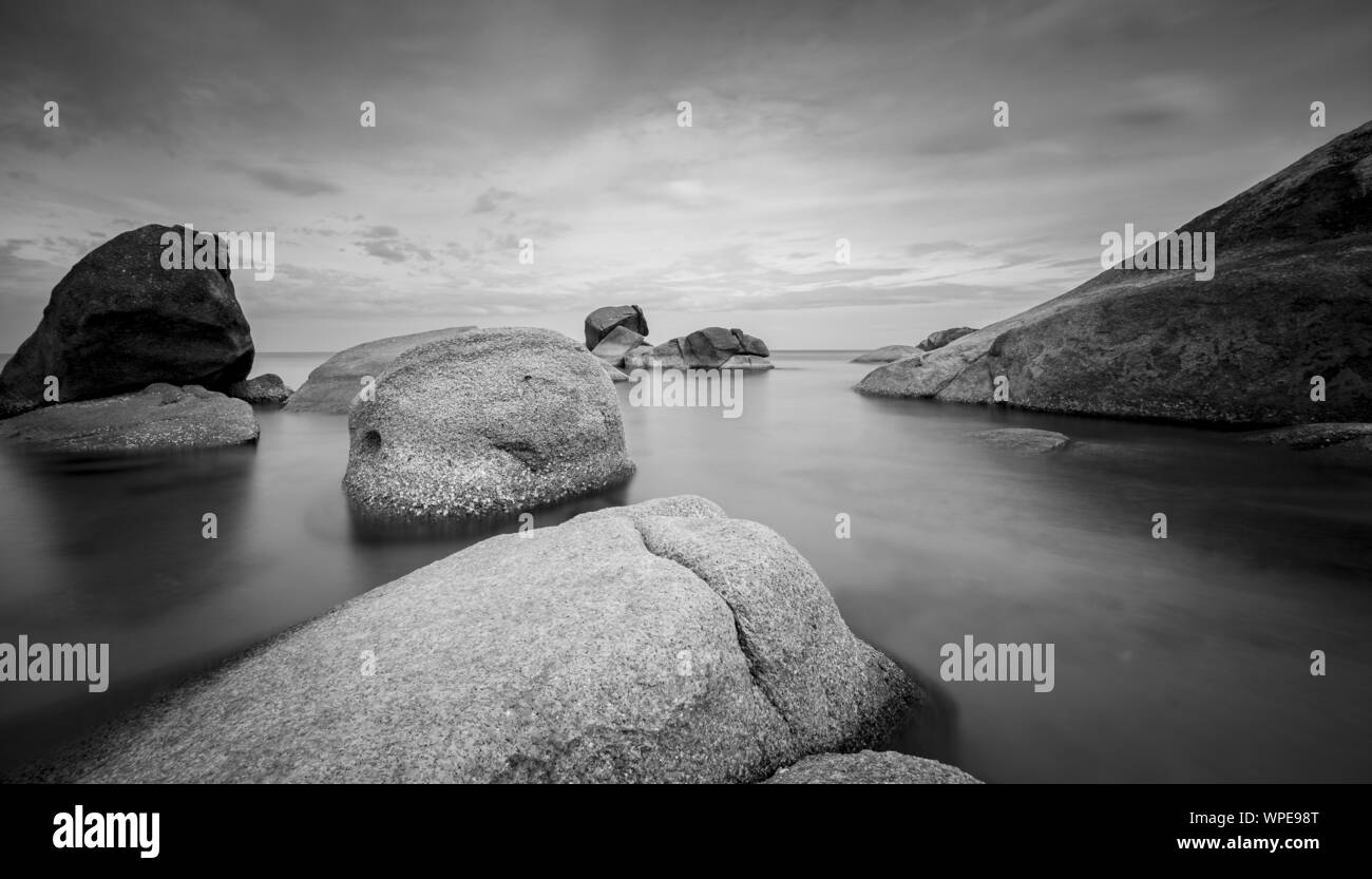 Fish under rocks Black and White Stock Photos & Images - Alamy
