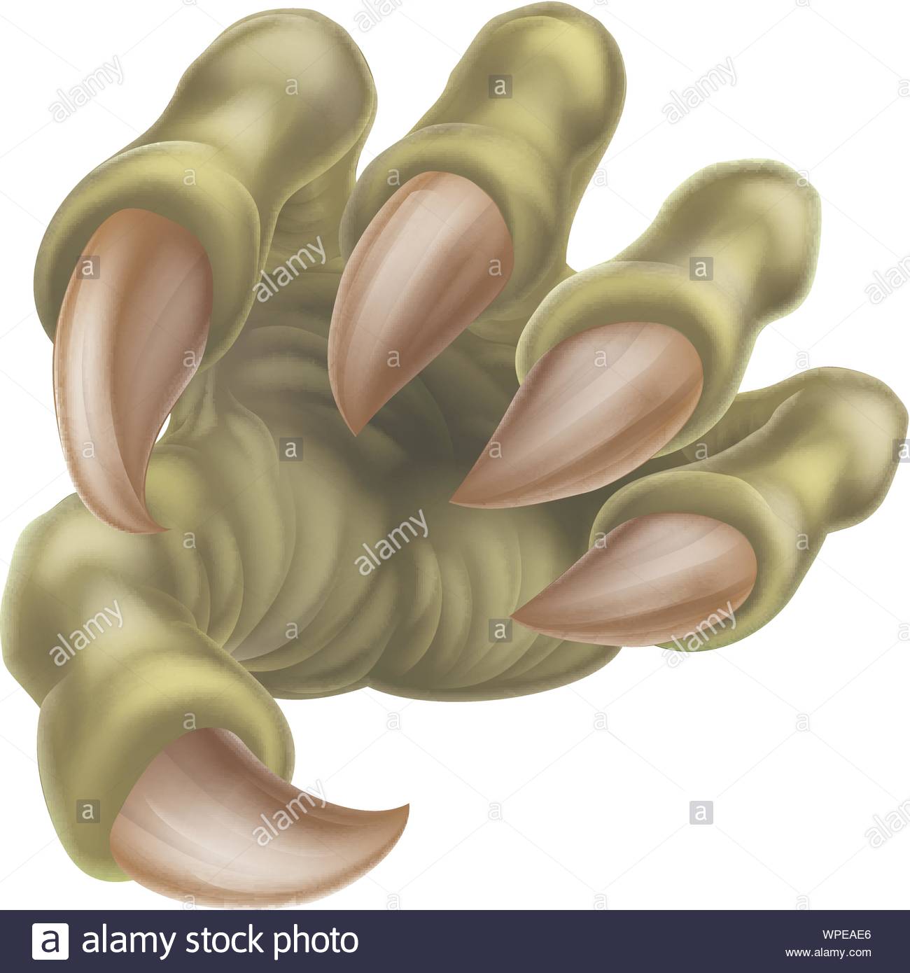 Evil Tiger High Resolution Stock Photography and Images - Alamy