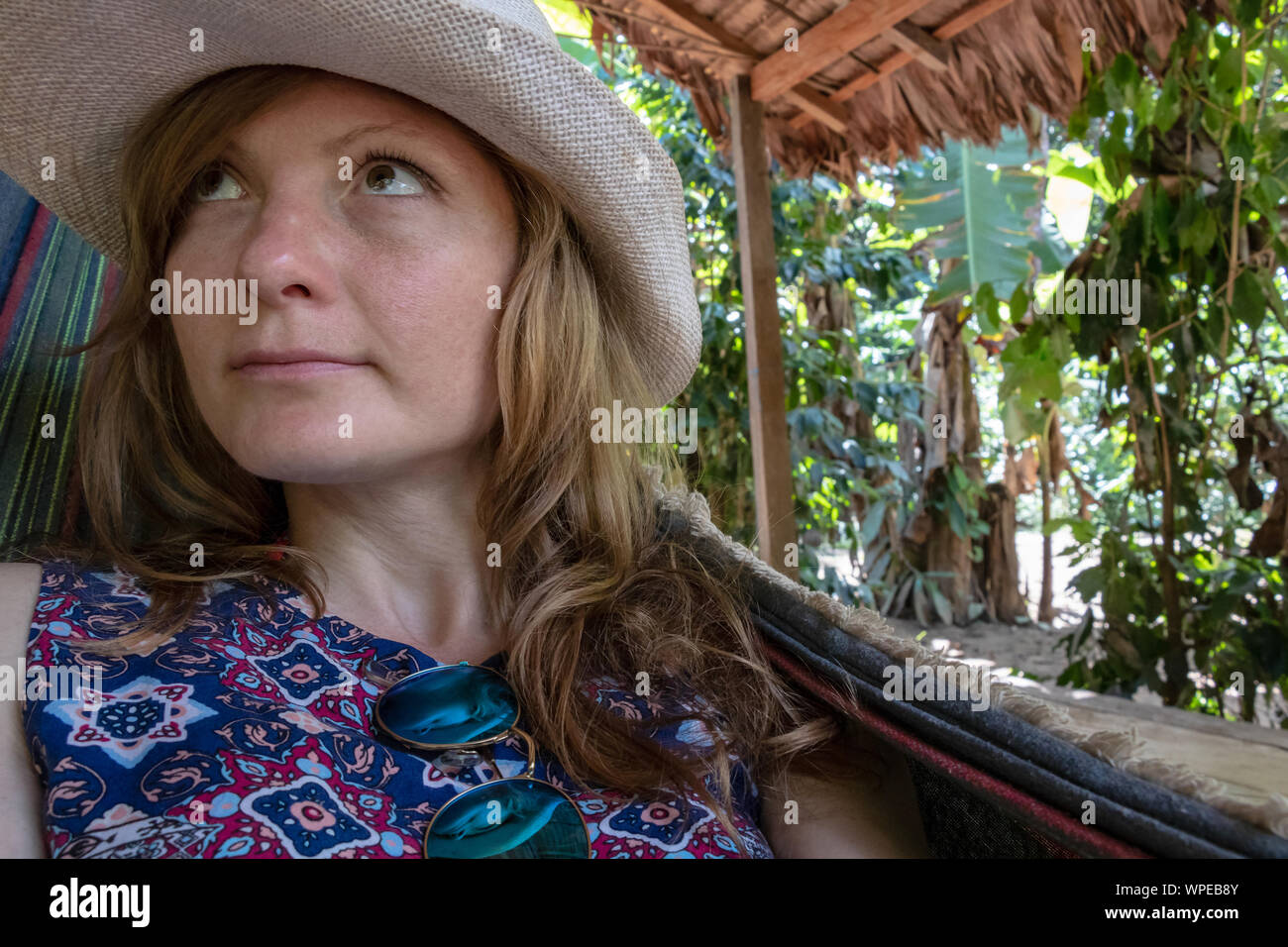 Amazonian basin palm hi-res stock photography and images - Alamy