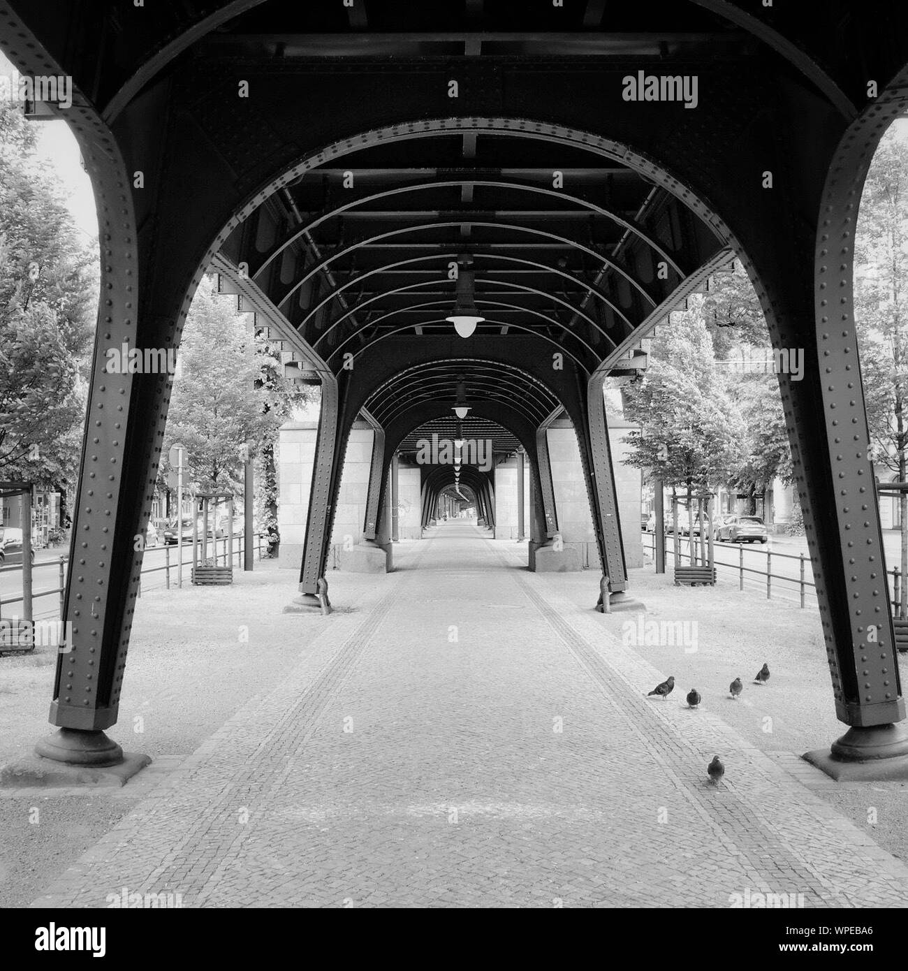 Bird under bridge hi-res stock photography and images - Alamy