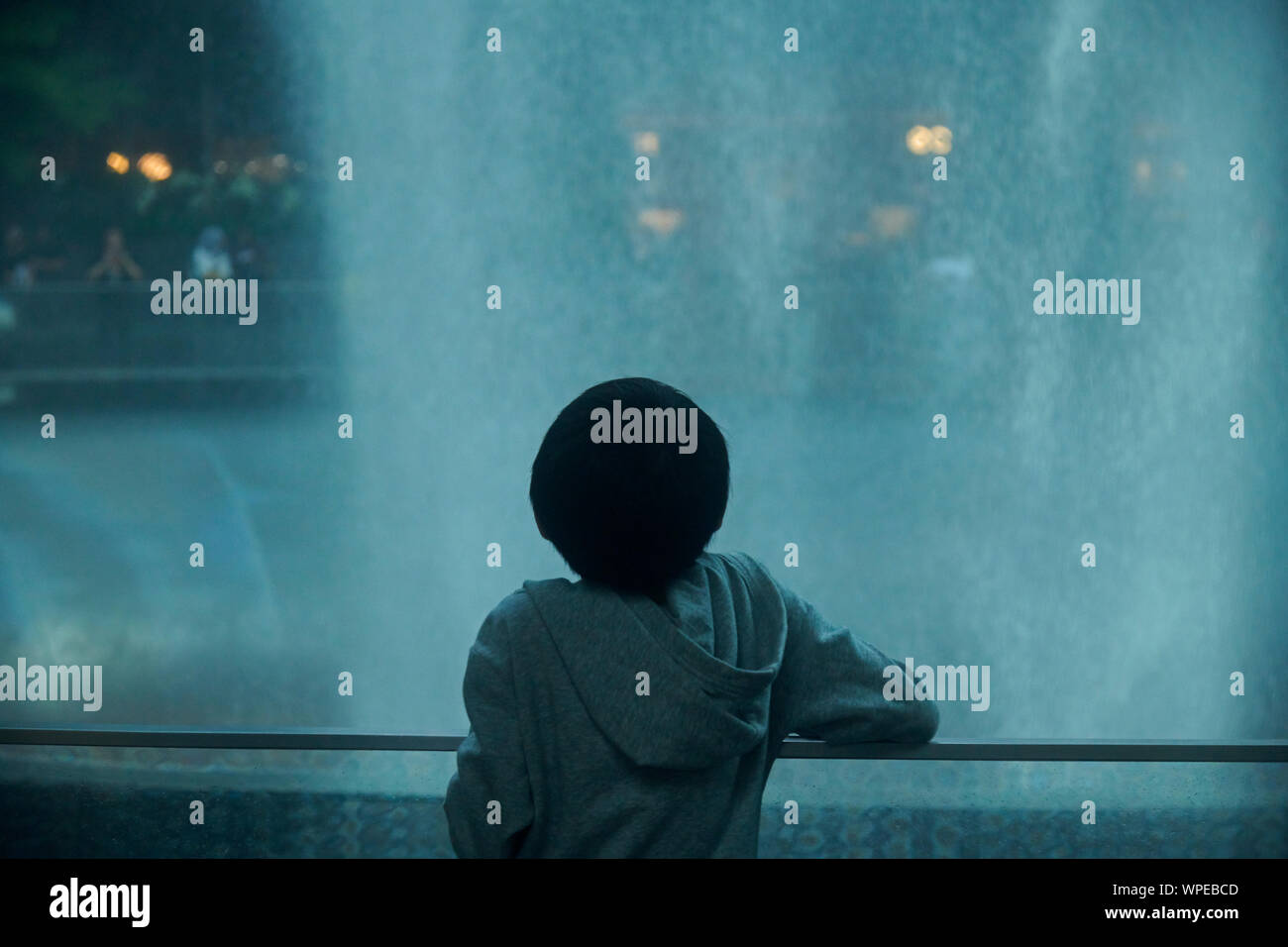Cute young Asian boy standing in front of the Rain Vortex at Jewel in ...