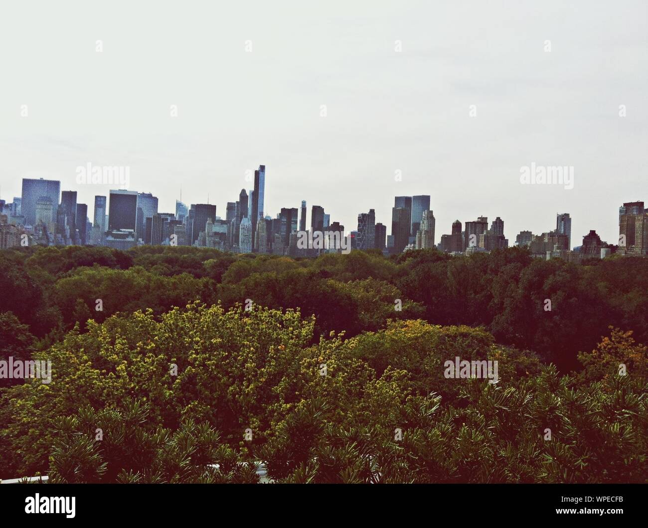 Buildings and foliage hi-res stock photography and images - Alamy