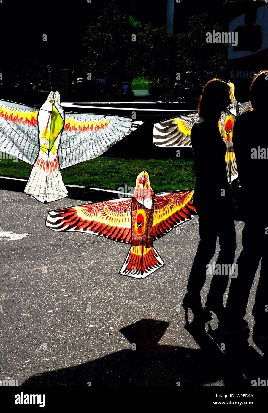 Bird people hi-res stock photography and images - Alamy