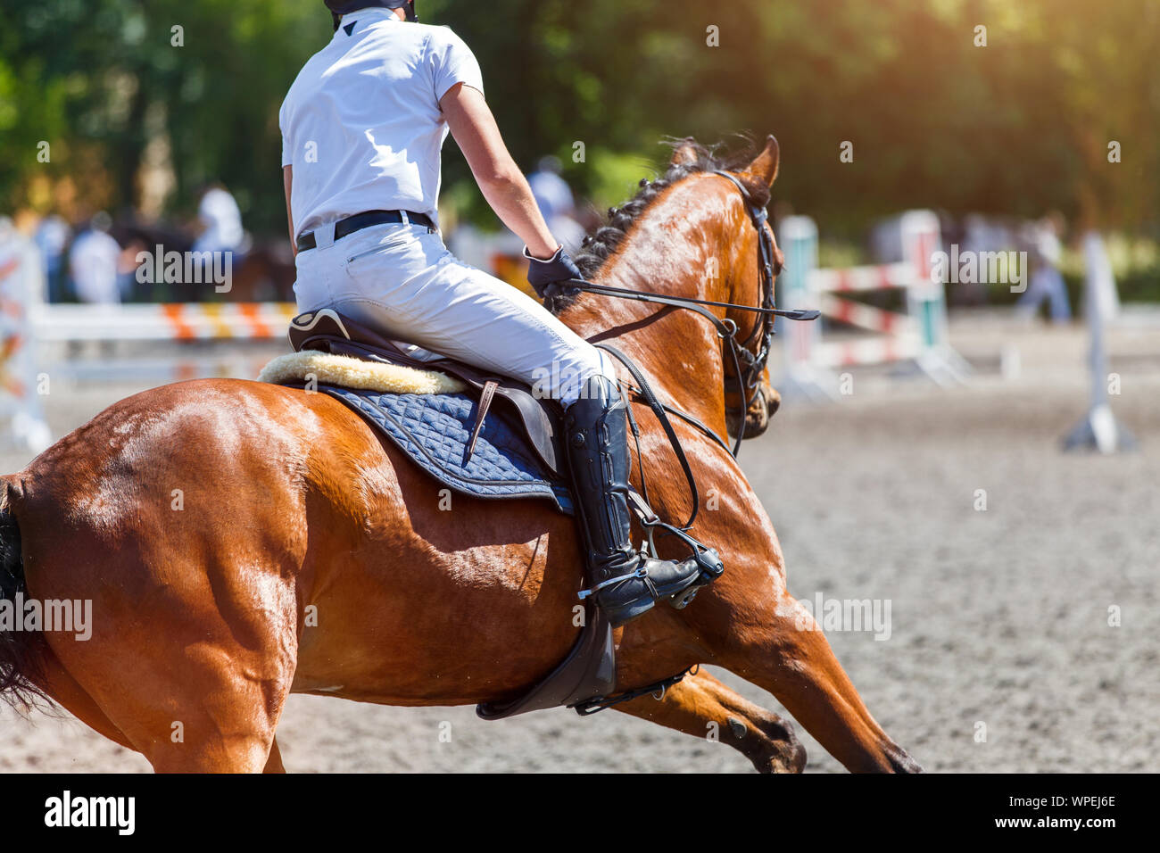 Young male horse rider on equestrian sport competition in show jumping ...