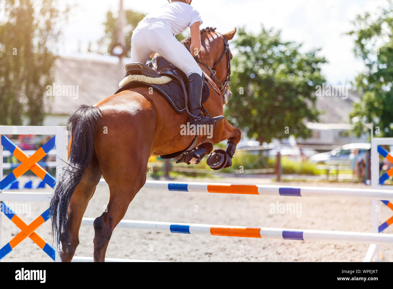 Young male horse rider on equestrian sport competition in show jumping ...
