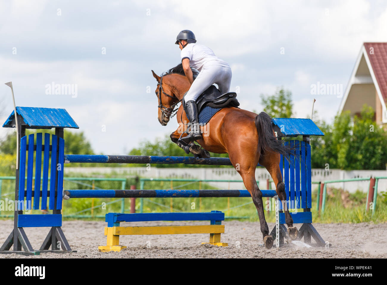Young male horse rider on equestrian sport competition in show jumping ...