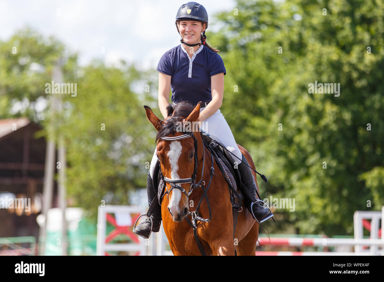 Young female horse rider on equestrian sport competition Stock Photo ...