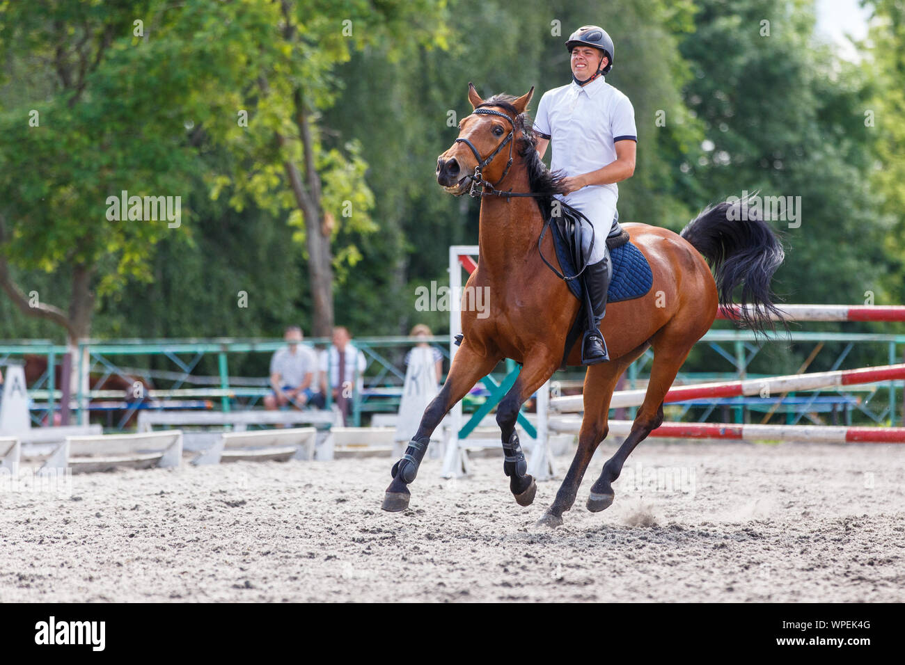 Competitor in dressage competition hi-res stock photography and images ...