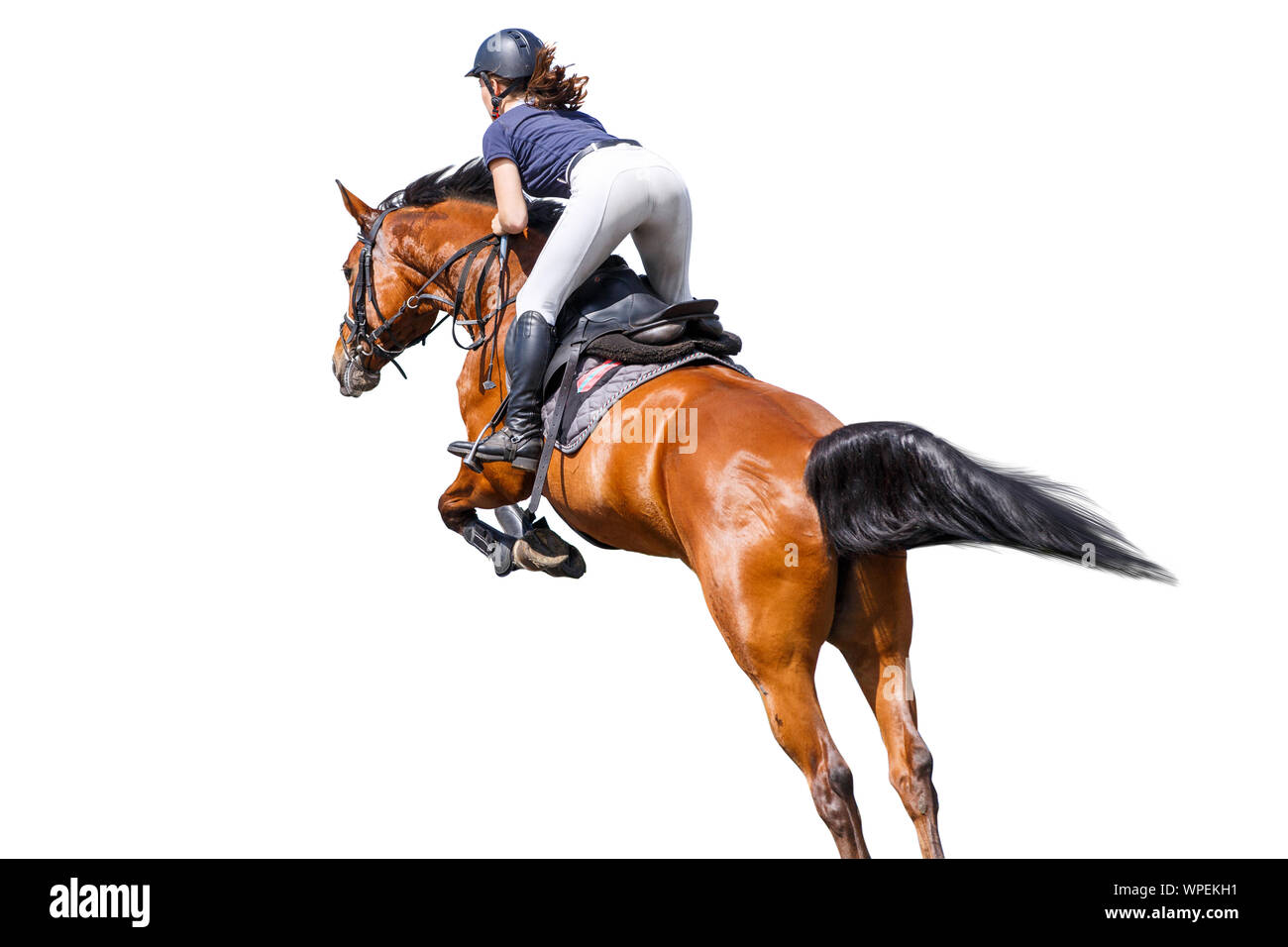 Jumping Horse Design