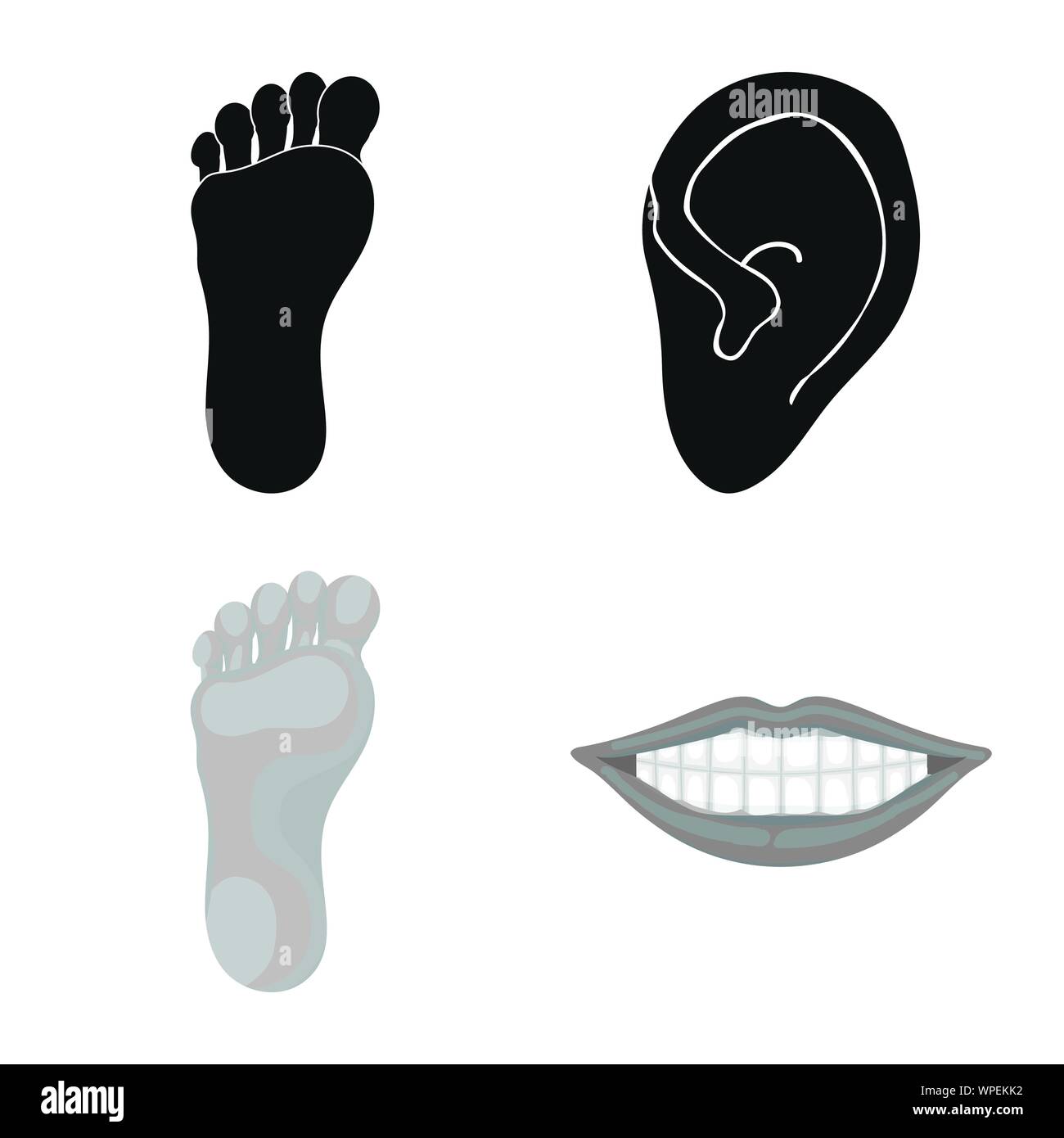 Vector illustration of body and part icon. Collection of body and ...