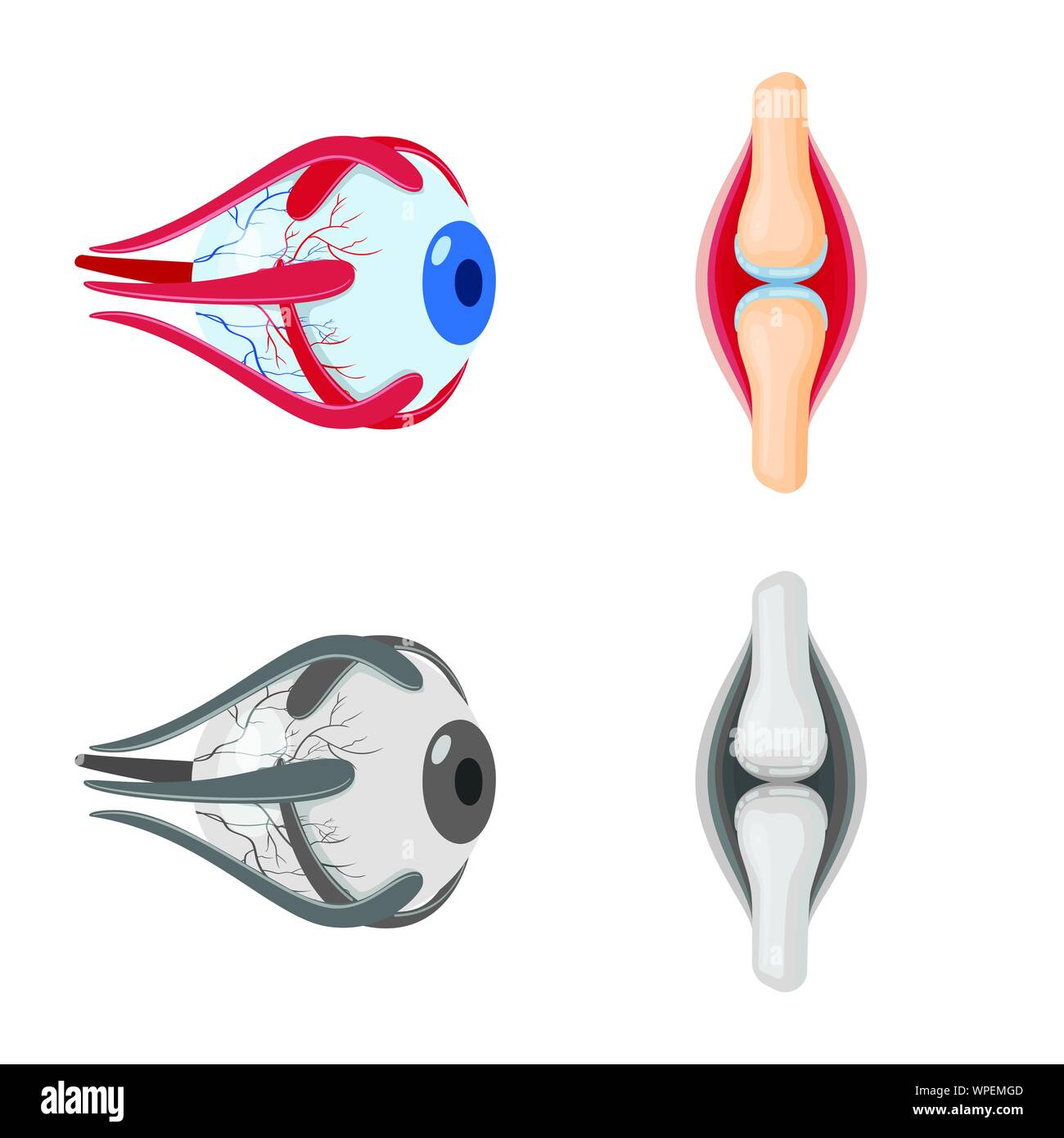 Vector Vectors Stock Vector Image & Art - Alamy