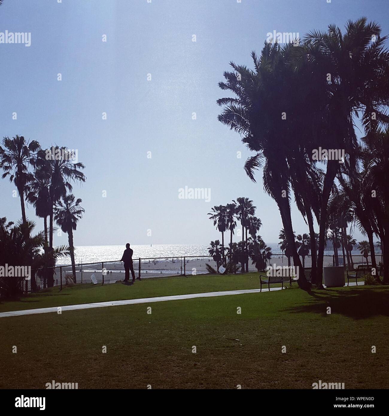 Mid Distance Silhouette Man Standing High Resolution Stock Photography ...