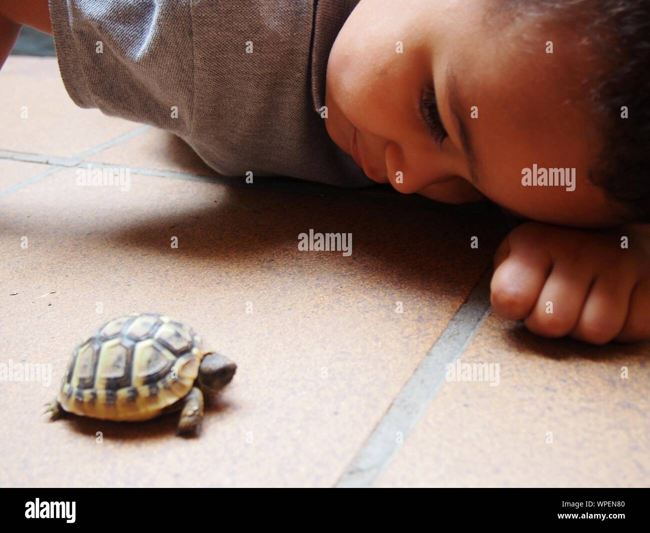 Turtle Boy High Resolution Stock Photography and Images - Alamy
