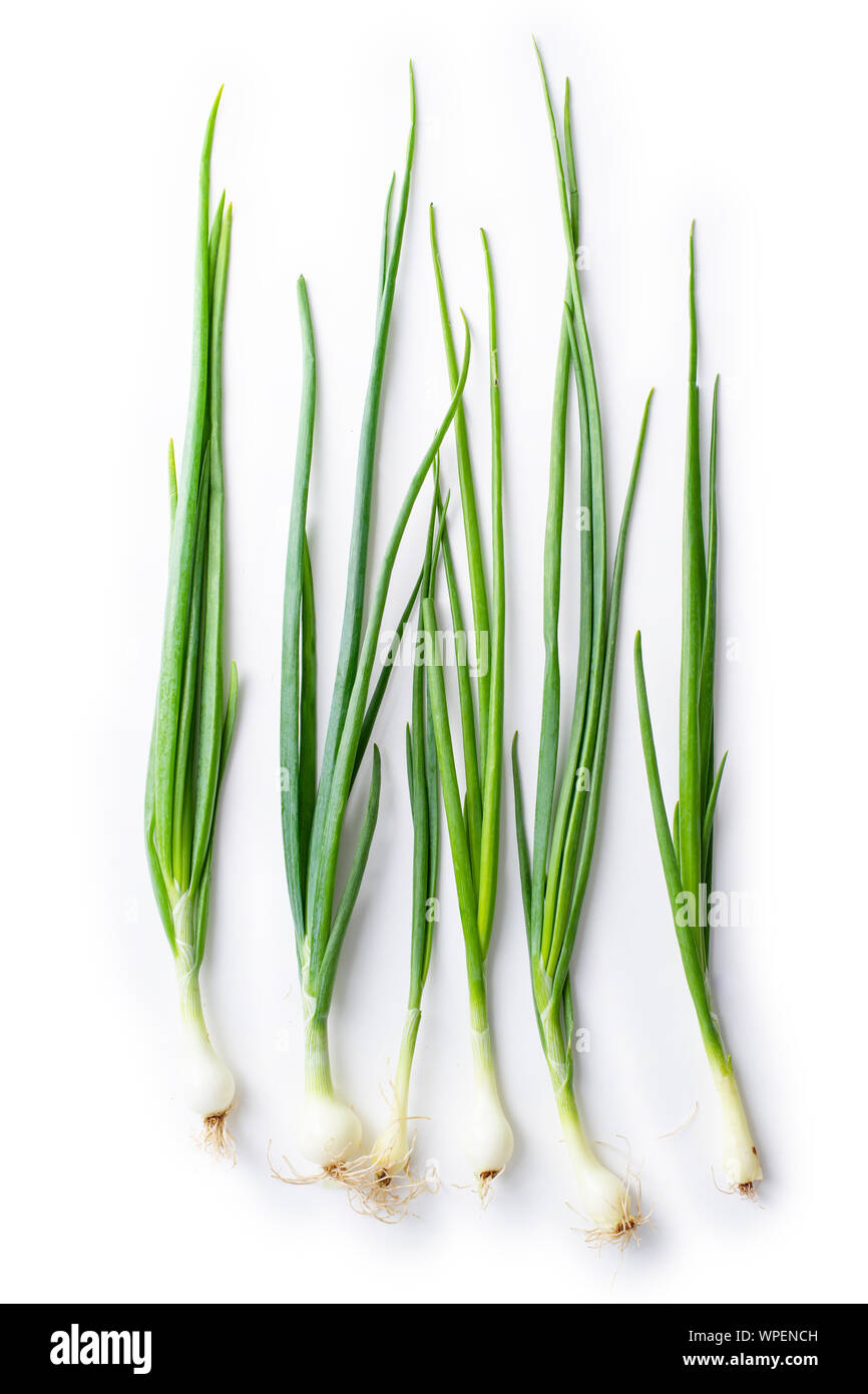 Fresh green chives isolated on white background Stock Photo - Alamy