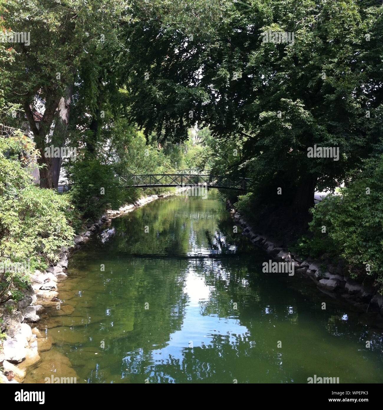 Canal Plants High Resolution Stock Photography and Images - Alamy