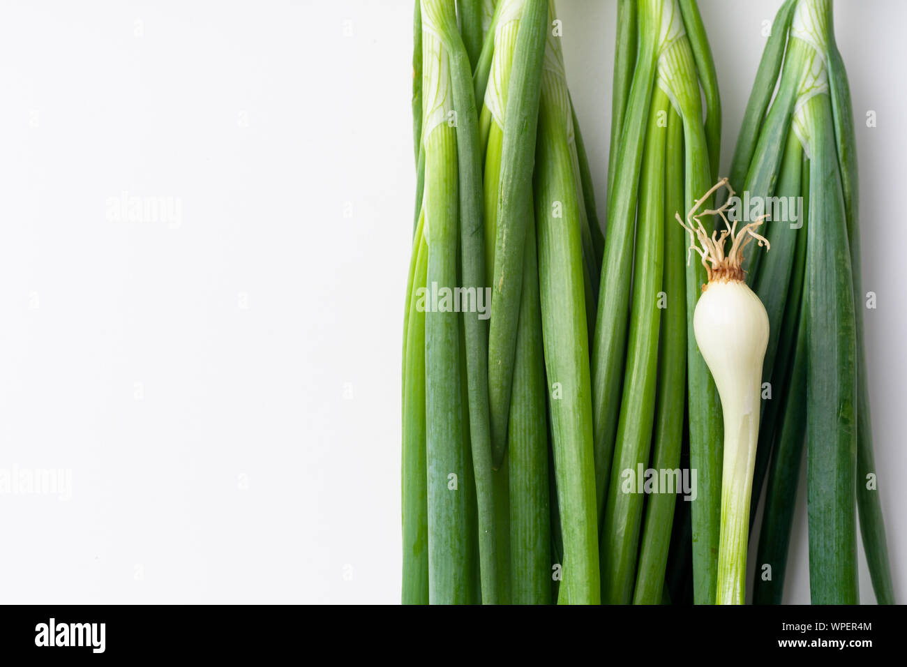 Fresh green chives isolated on white background Stock Photo - Alamy