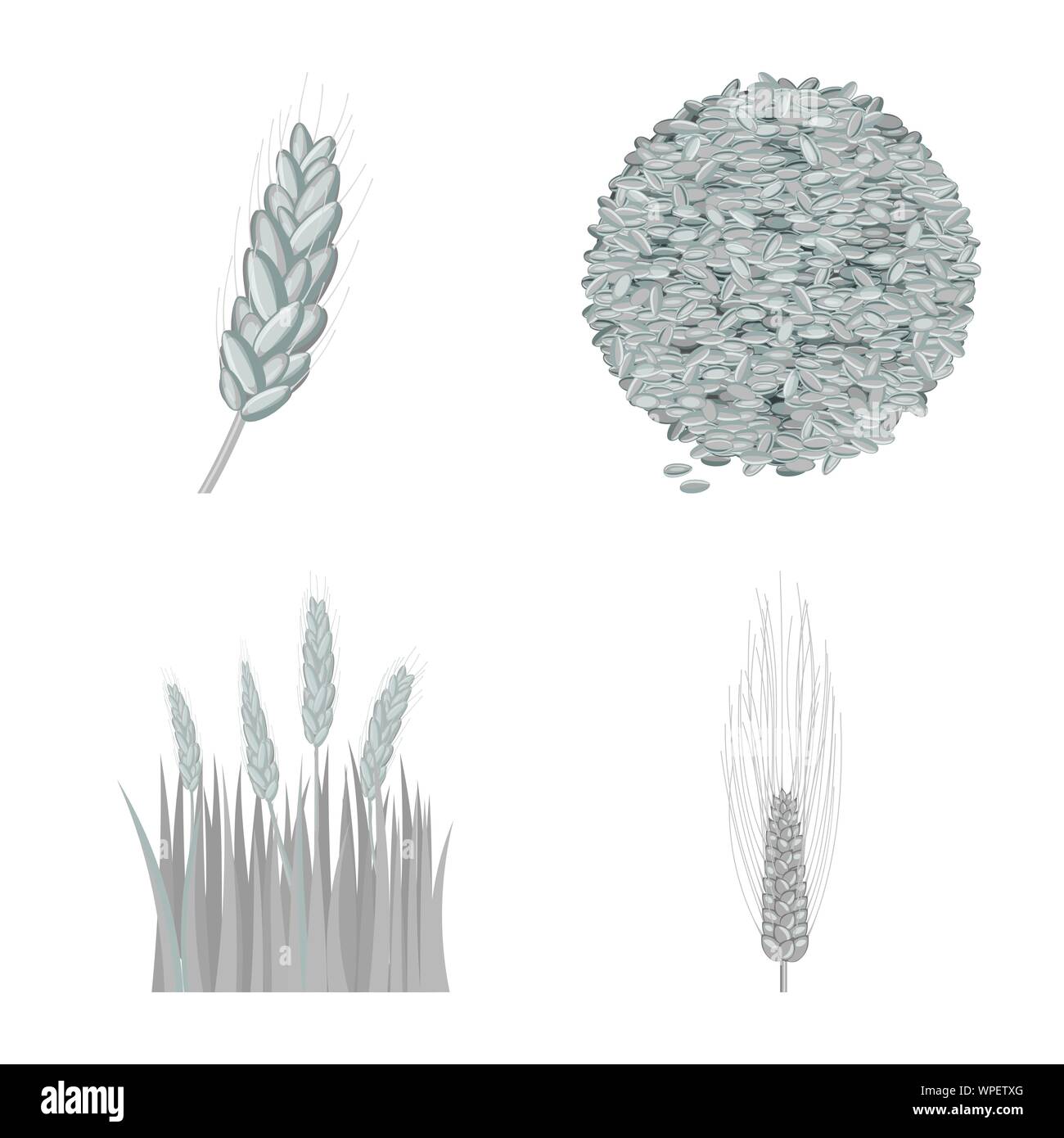 Vector Vectors Stock Vector Image & Art - Alamy