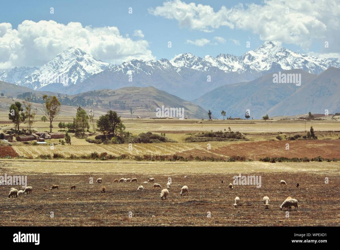 Cattle range hi-res stock photography and images - Alamy