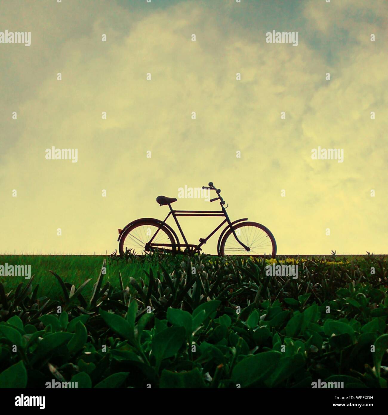 Old fashioned bike hi-res stock photography and images - Alamy