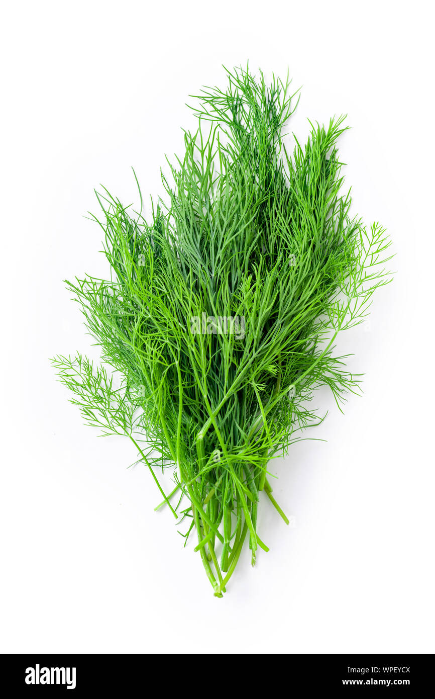 Fresh dill isolated on white background Stock Photo - Alamy