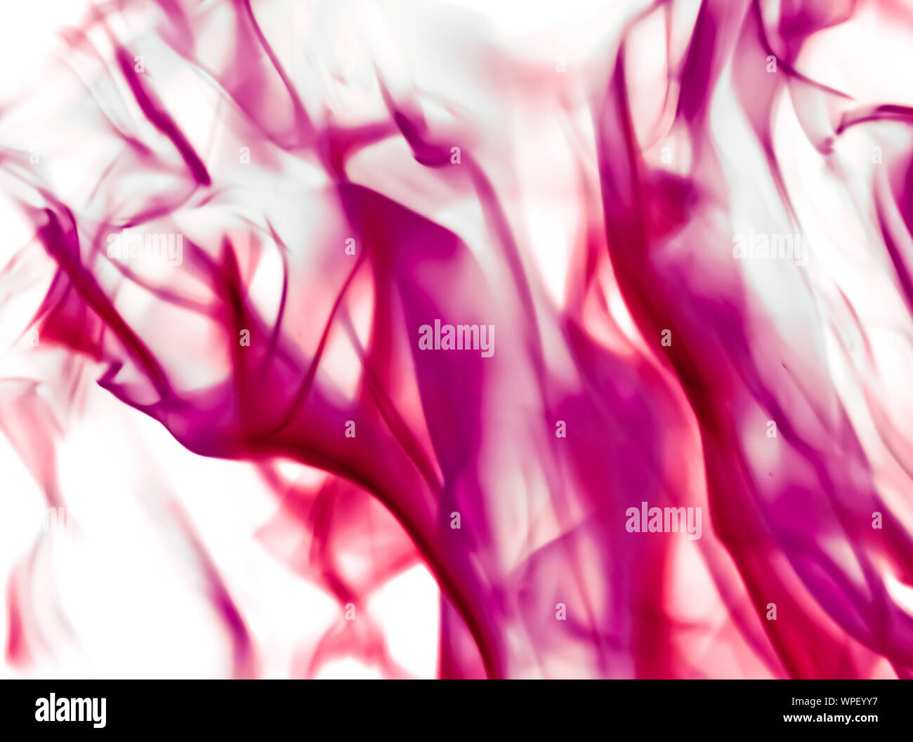 Technology, science and artistic flow concept - Abstract wave ...