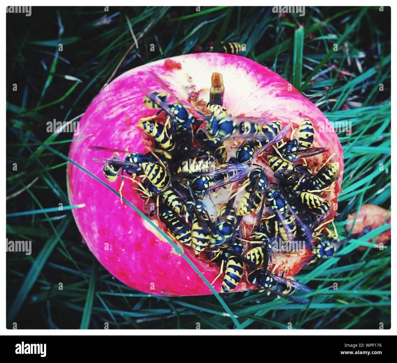 The fruit yard hi-res stock photography and images - Alamy