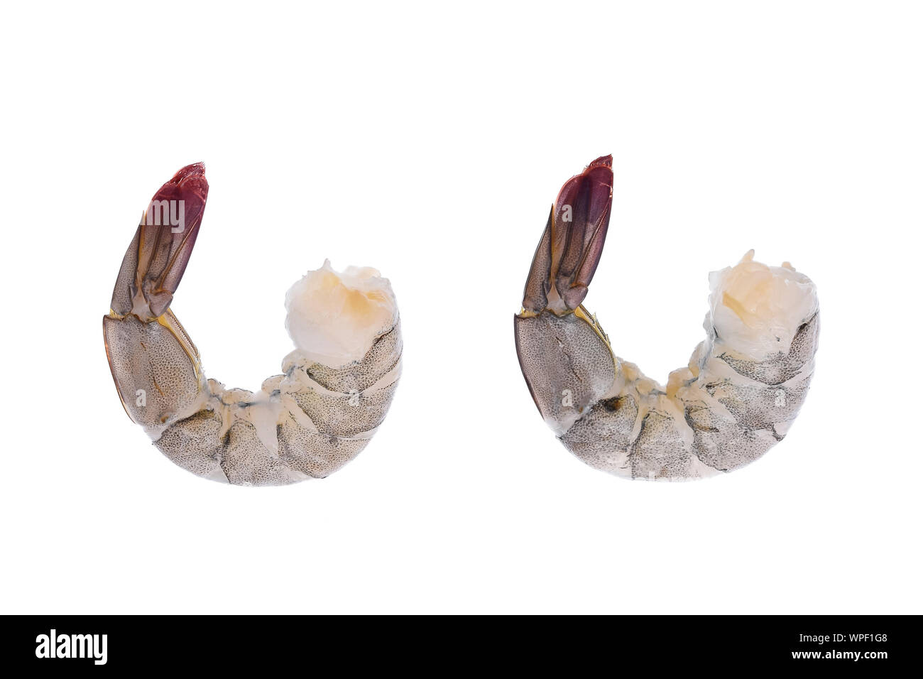 Raw prawns isolated on white background Stock Photo - Alamy