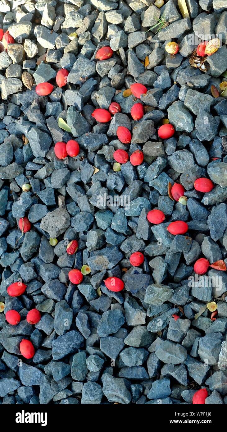 Large fallen rocks hi-res stock photography and images - Alamy