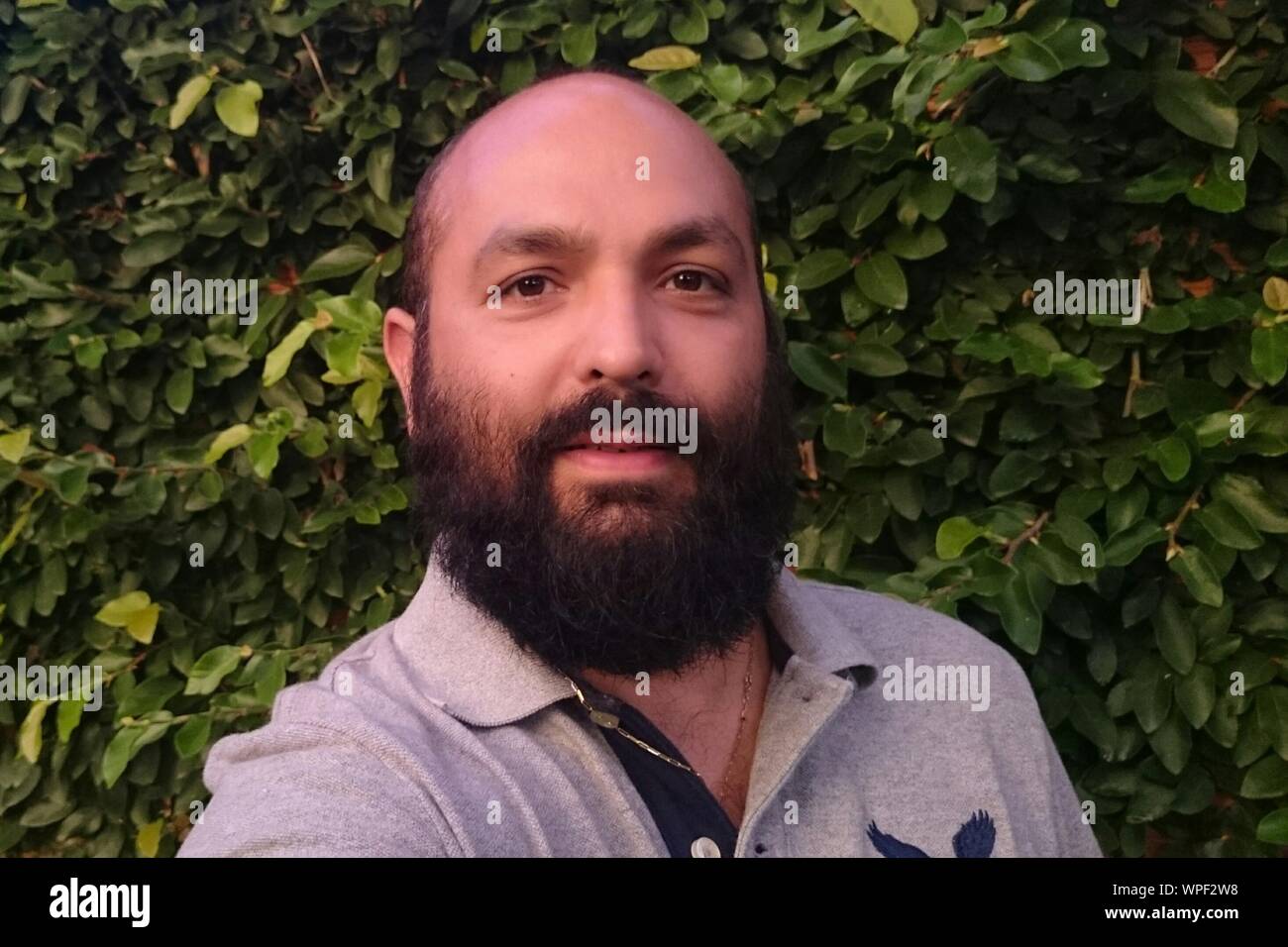 Bearded tree hi-res stock photography and images - Alamy