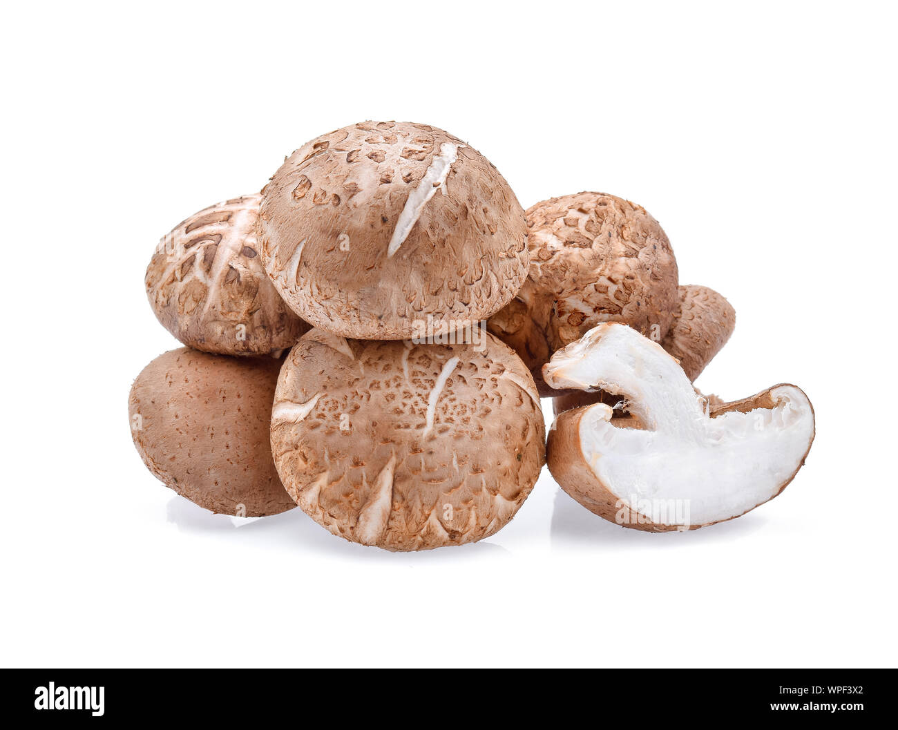 Shiitake Mushrooms isolated on white background Stock Photo - Alamy