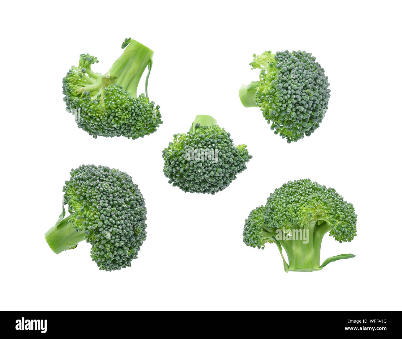 Broccoli isolated on white background Stock Photo - Alamy