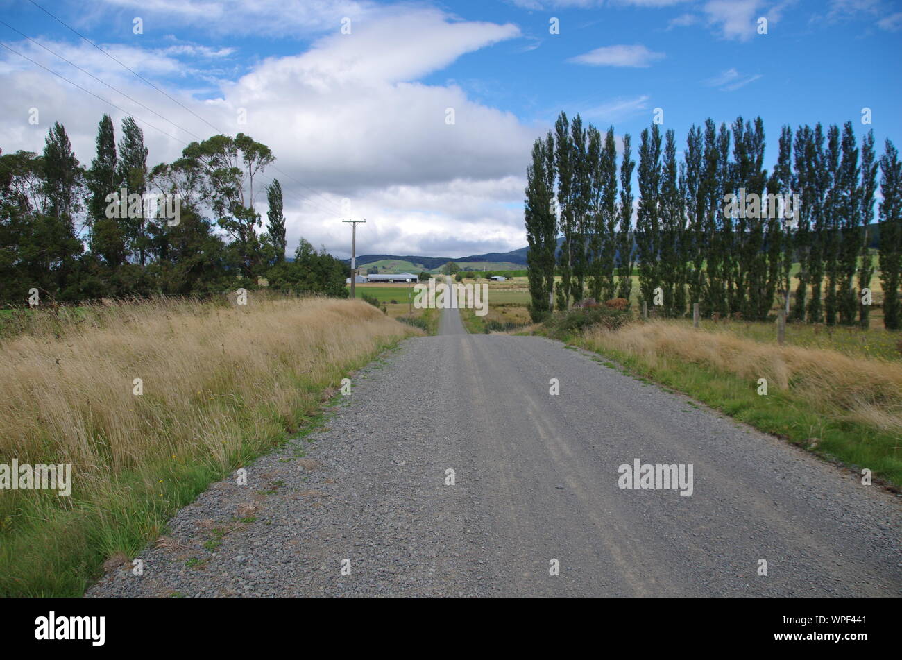 Te Araroa Trail. Island Bush Track. Southland. South Island. New ...