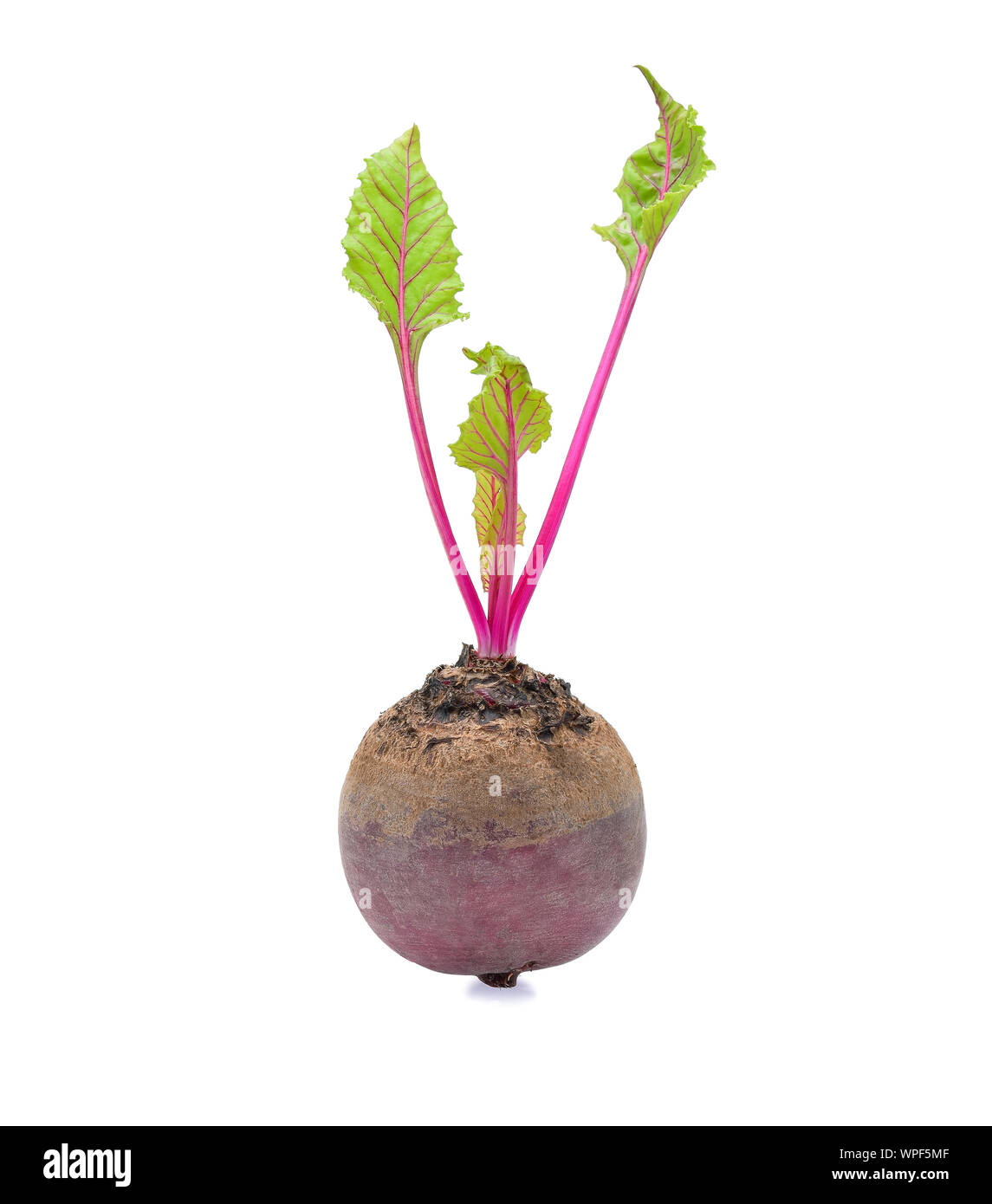 beetroot isolated on white background Stock Photo - Alamy