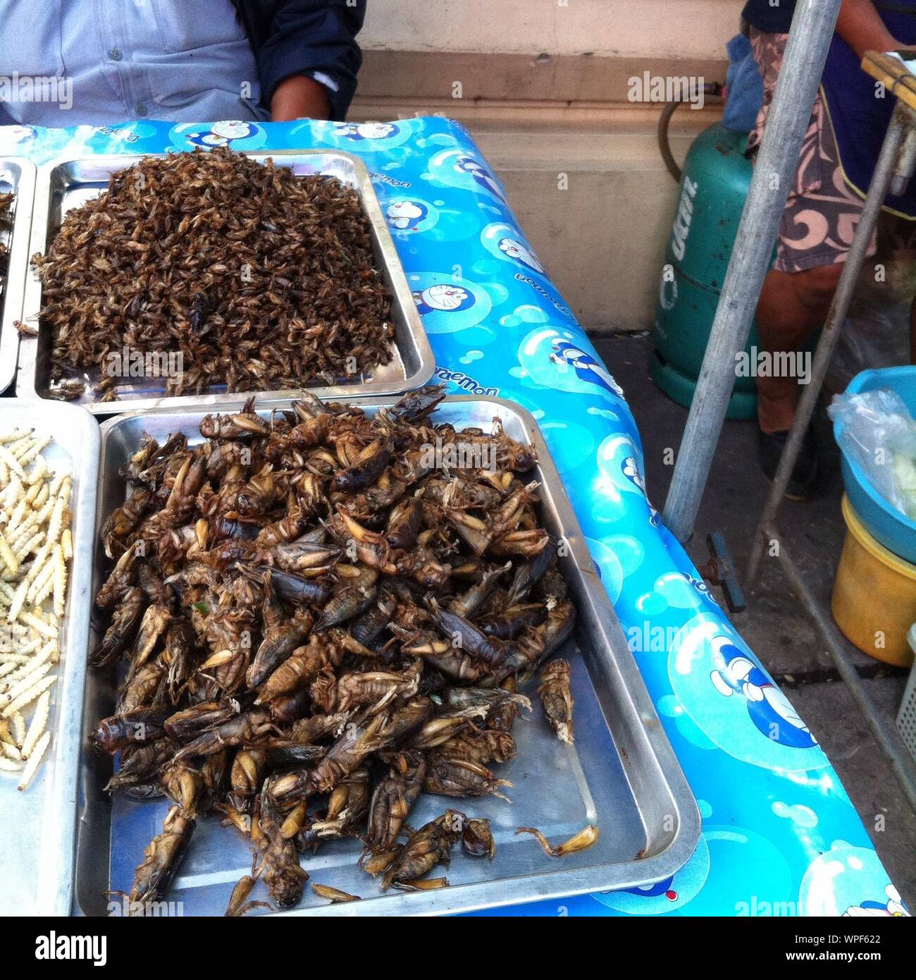 Objects insects hi-res stock photography and images - Alamy