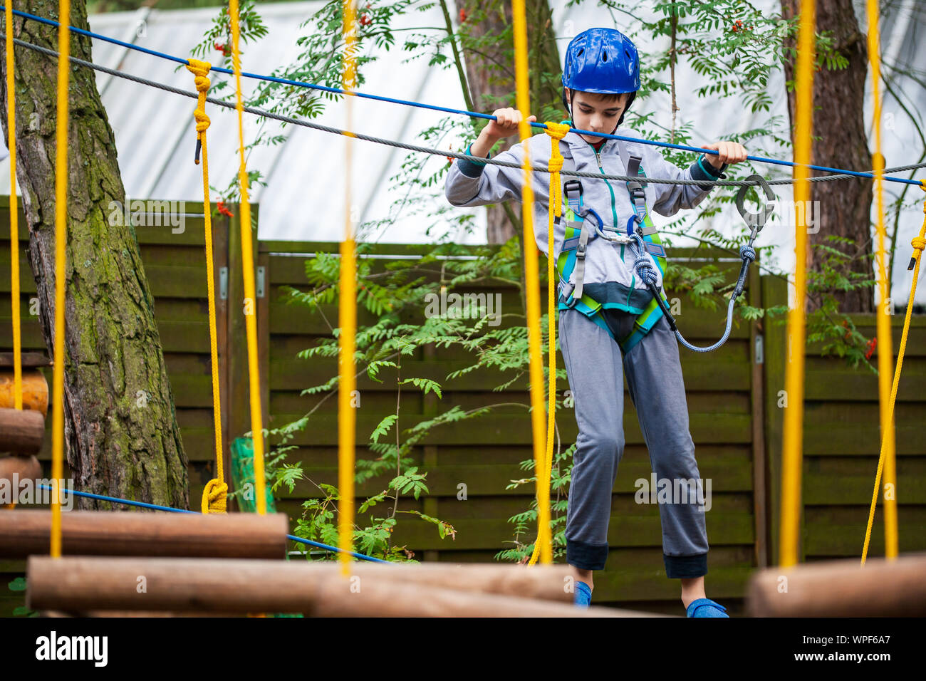 Young boy climbing pass obstacles in rope. Child in forest adventure ...