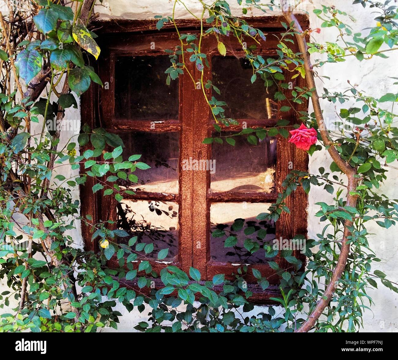 Rose window exterior hi-res stock photography and images - Alamy