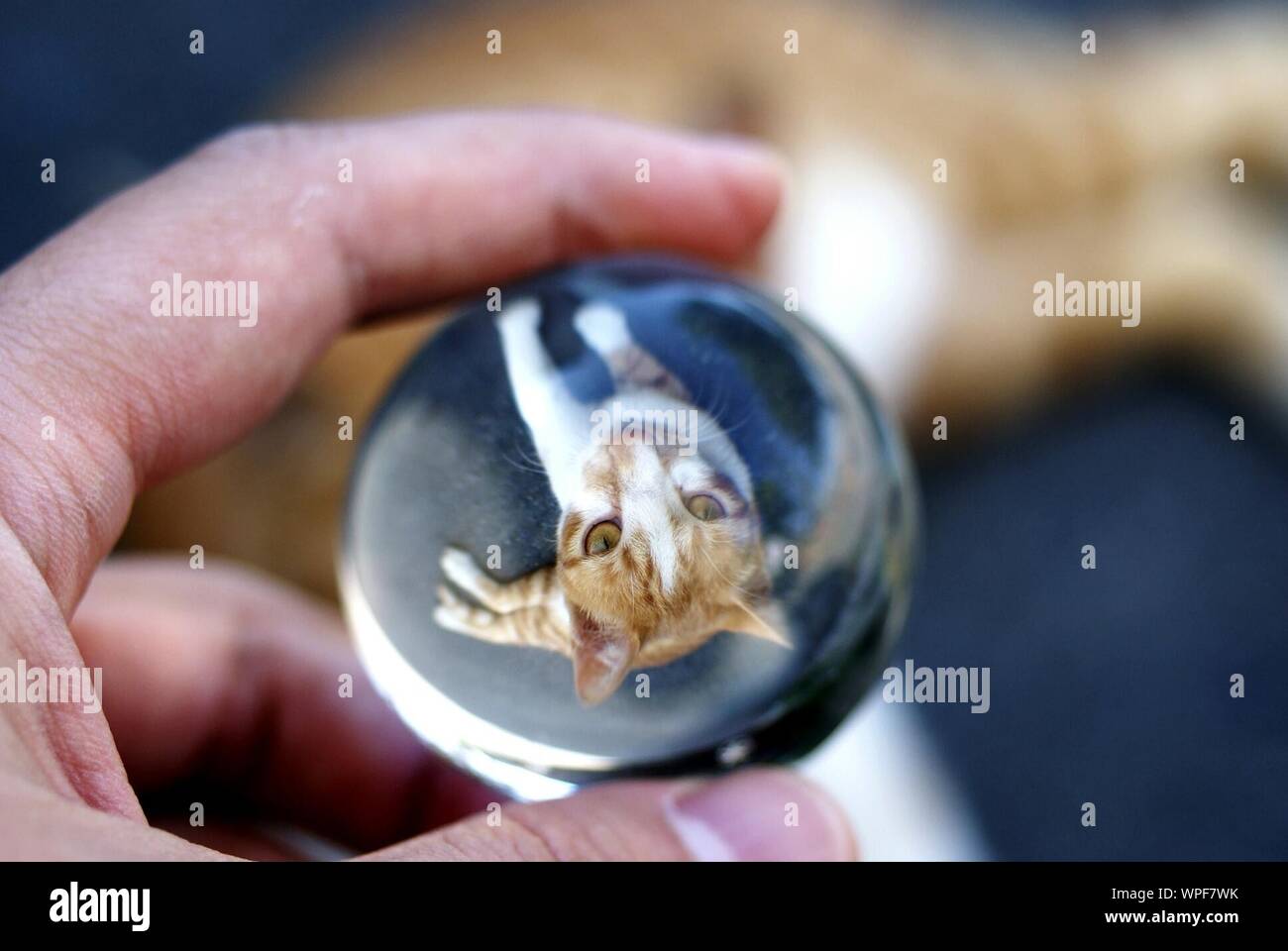 Cute object hi-res stock photography and images - Alamy