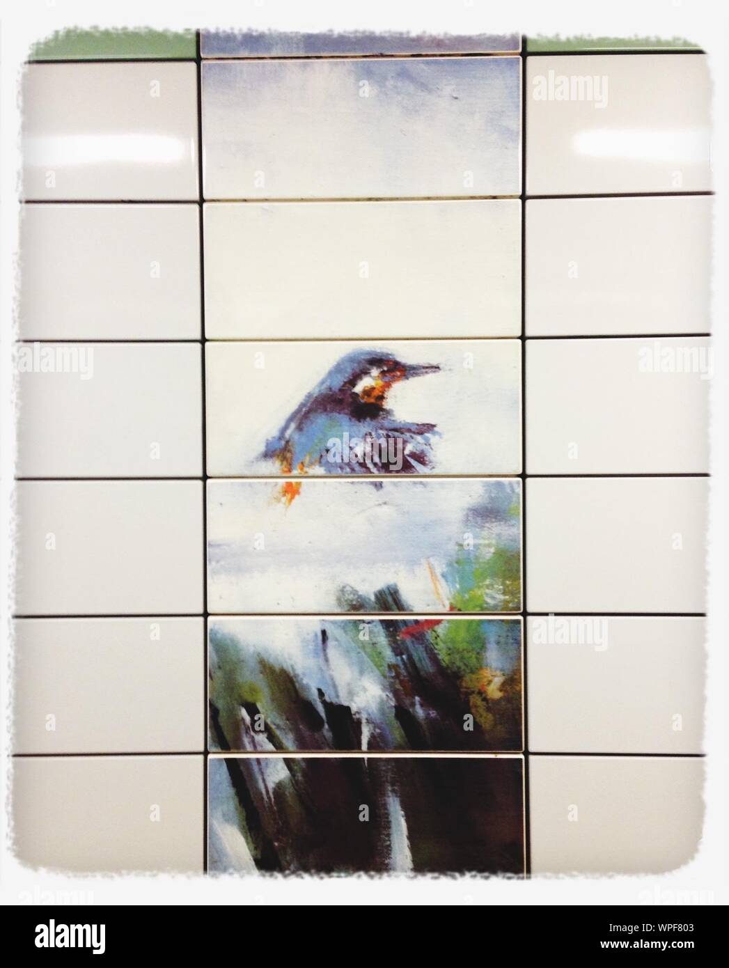 Bird tile hi-res stock photography and images - Alamy