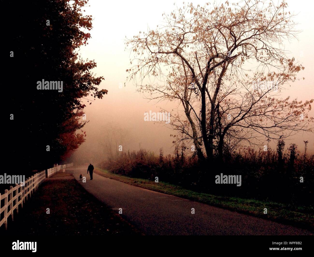 Walking down road hi-res stock photography and images - Alamy