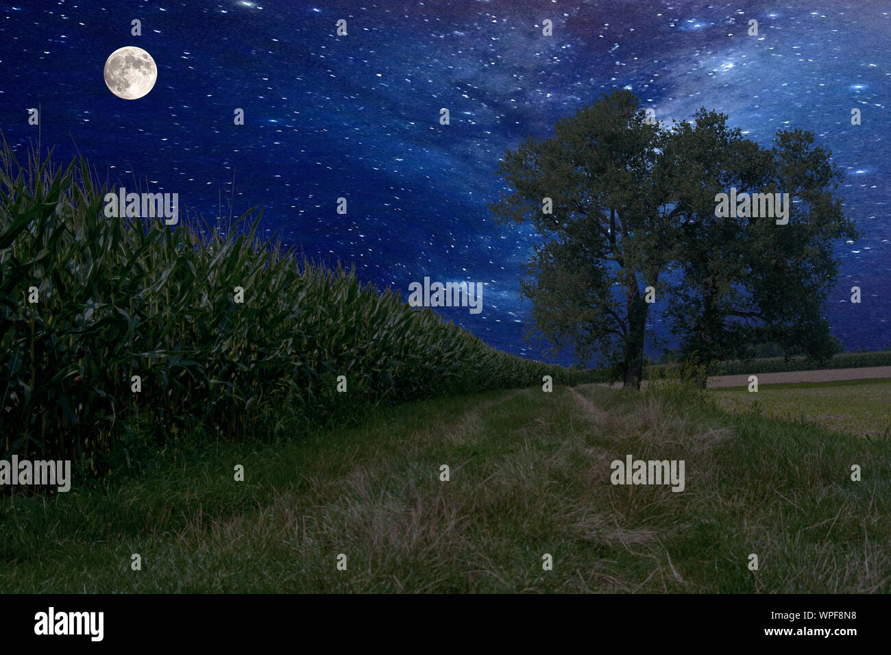 Nightscenery hi-res stock photography and images - Alamy