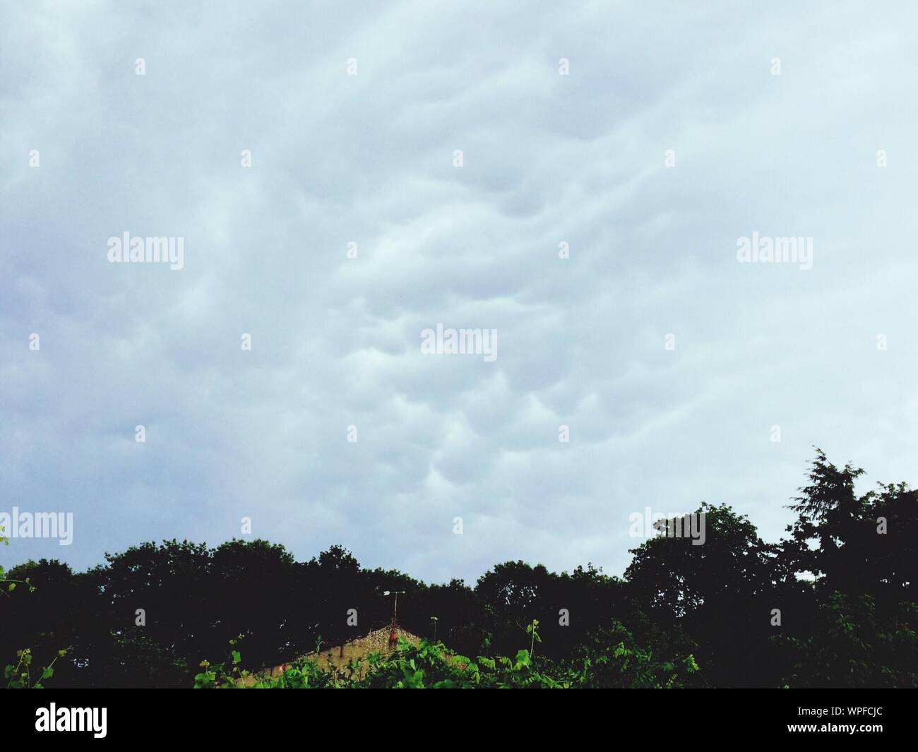 Over treetops hi-res stock photography and images - Alamy