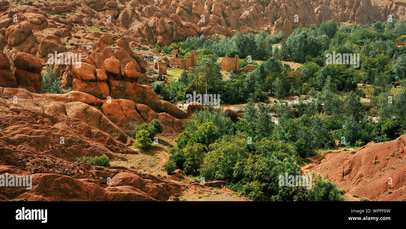 Plants growing in rock hi-res stock photography and images - Alamy
