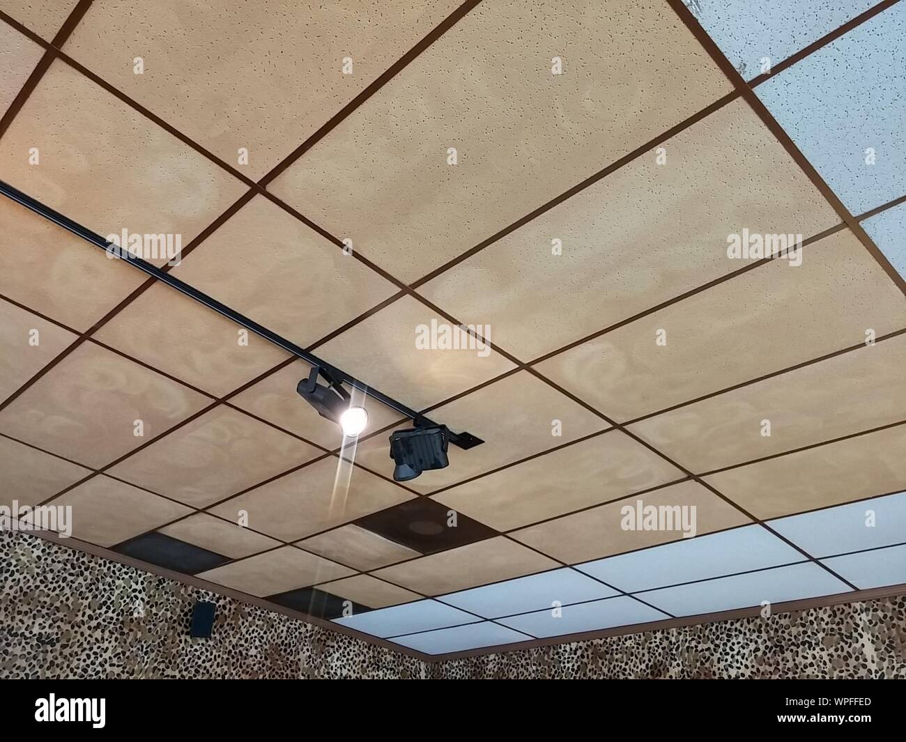 Spot lit hi-res stock photography and images - Alamy