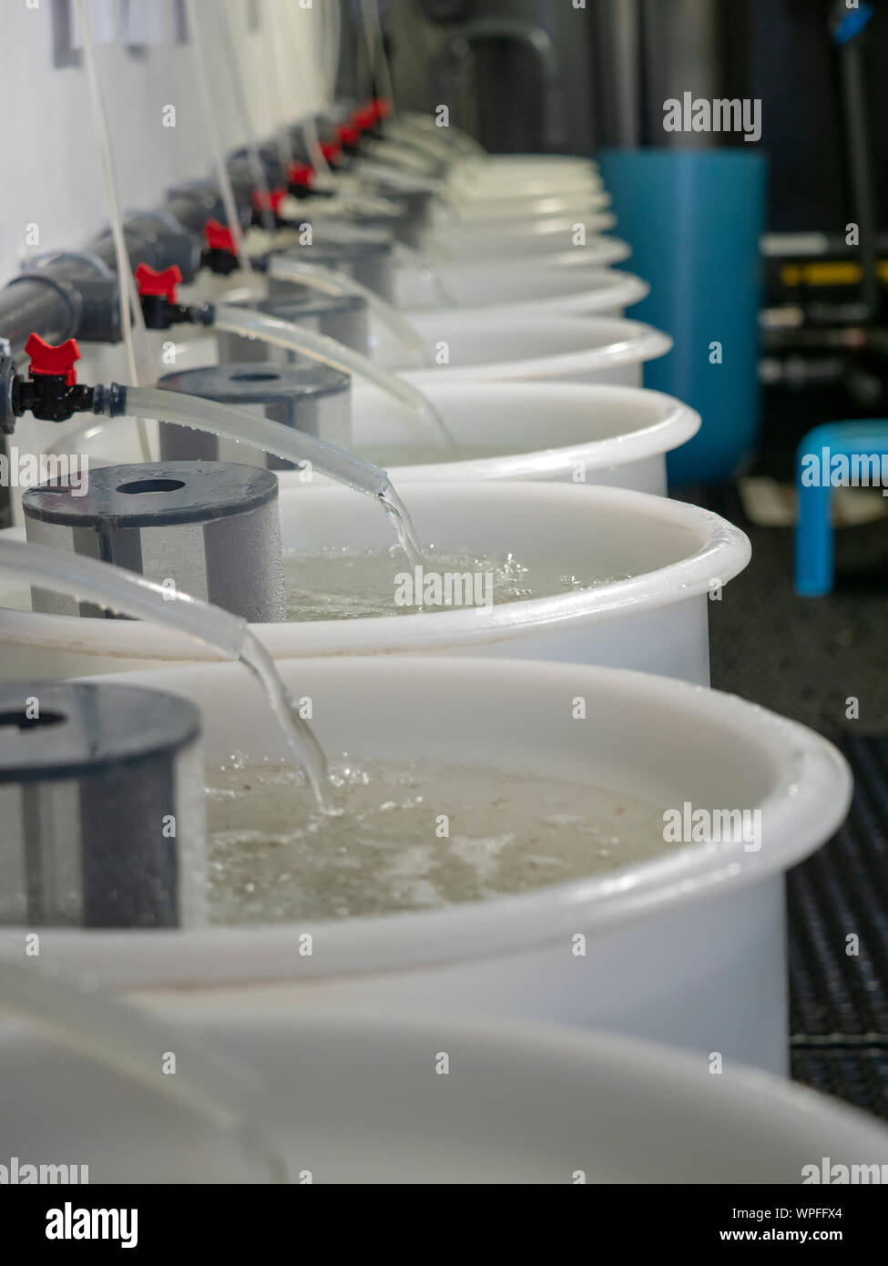 Aquaculture tanks hi-res stock photography and images - Alamy