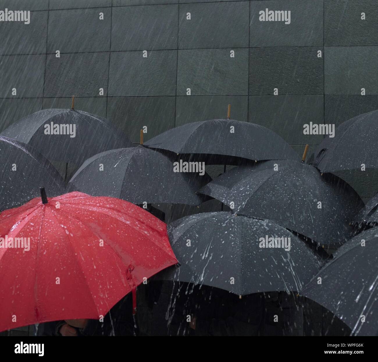Pouring rain umbrellas hi-res stock photography and images - Alamy