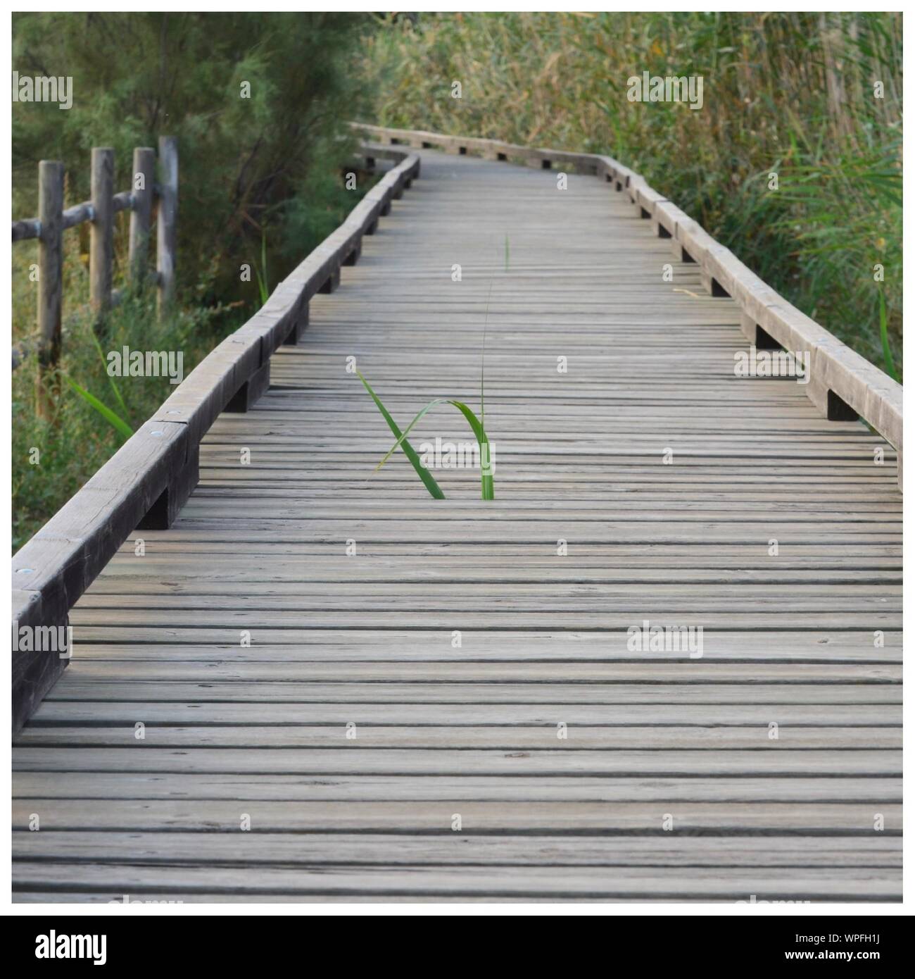 Empty stairs railing Cut Out Stock Images & Pictures - Alamy